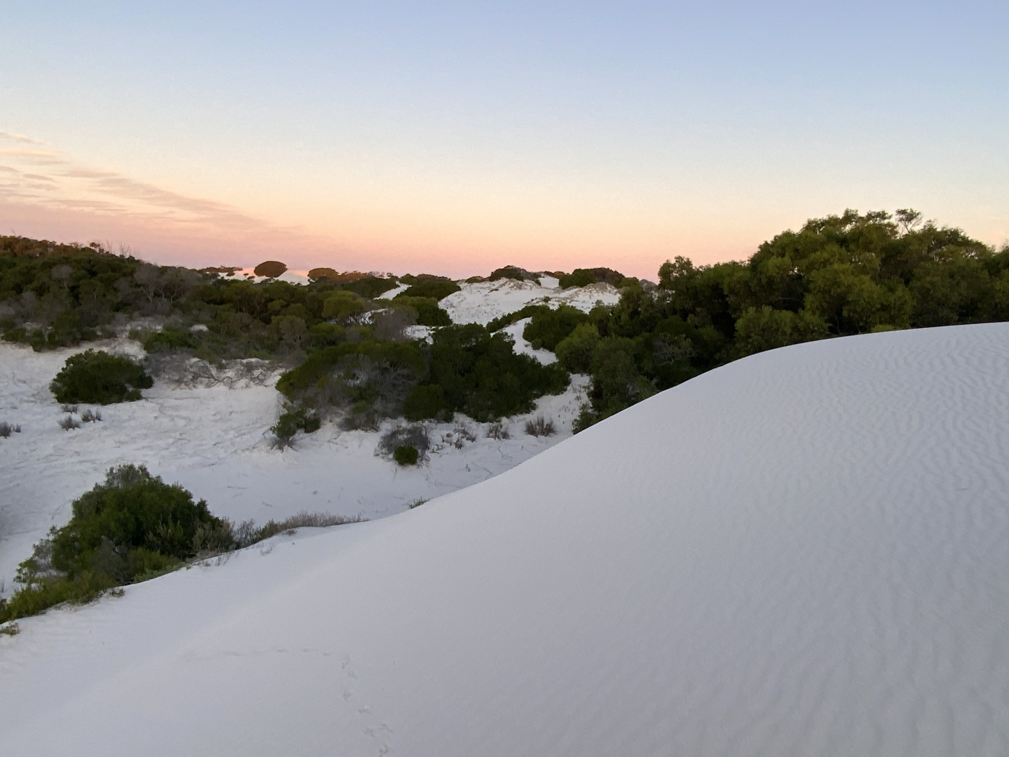 Great Australia Bight – Cliffs, sand, mallee and whales. 21 August 2024 ...